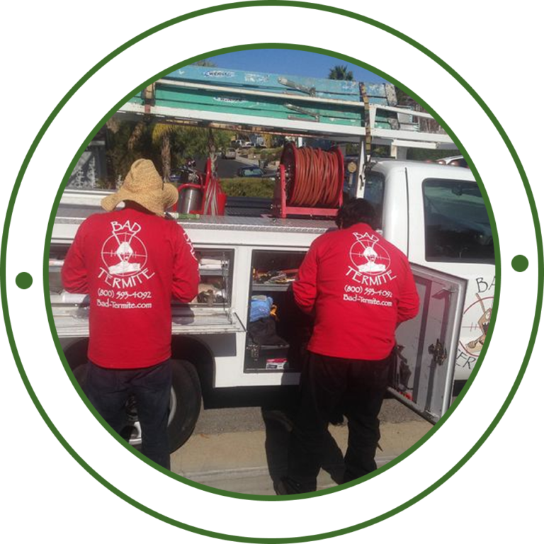 Termite and Pest Control Granada Hills CA | Bad Termite